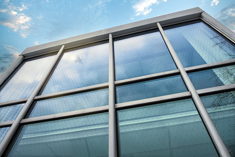 Bird Vetted & Approved